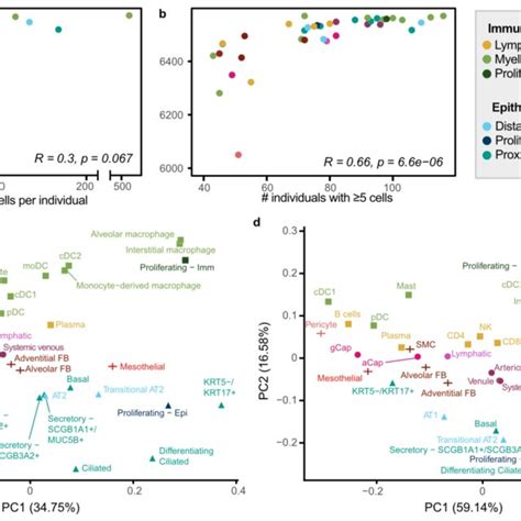 Sc Eqtl Reflect Lineage And Cell Type Relationships Of Expression Download Scientific Diagram