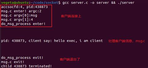 【2 5】exec函数族 exec自执行函数 csdn博客