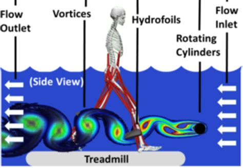 Assisting Human Gait Underwater Robotics Umass Amherst Umass Amherst