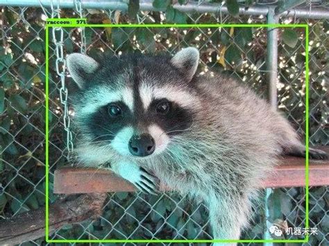 基于tensorflow2 x object detection api构建自定义物体检测器 云社区 华为云