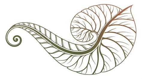 Nautilus Shell Spiral Natural Pattern Fibonacci Art And Marine Life Design Vector Design