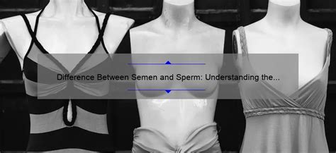 Difference Between Semen And Sperm Understanding The Basics Sperm Blog