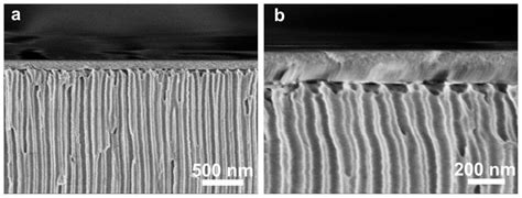 Pdda Modified Mesoporous Silicon Oxide Anodic Aluminum Oxide Film Super Assembly Preparation