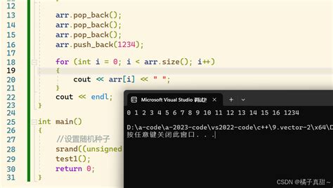 19 Cstl 5深入理解vector，vector的模拟实现，二维动态数组 Csdn博客