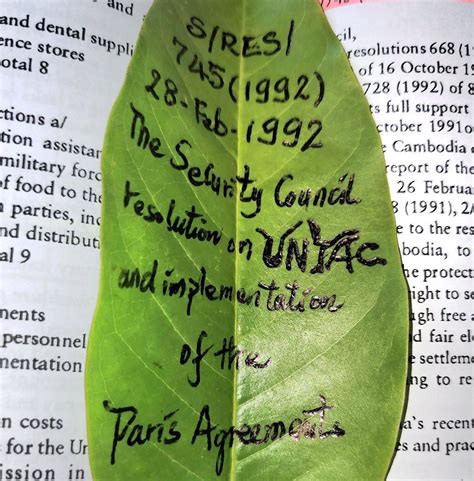 Seng Dimong សុ ចិ បុ លិ សុចិបុលិ សុ ចិ បុ លិ Facebook