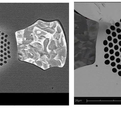 SEM Image Of The A PCF With In Electrodes B PCF With Bi Electrodes Download Scientific