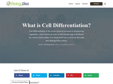 Biology Wise What Is Cell Differentiation Handout For 9th 10th Grade Lesson Planet
