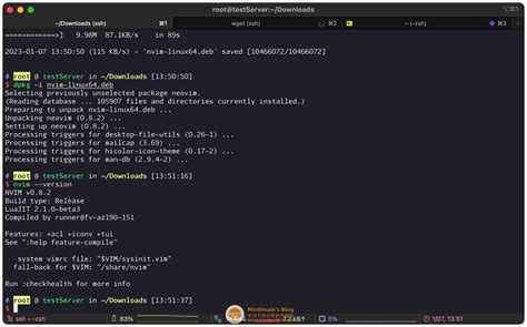 Linux上配置lunarvim:快速初始化neovim,让你的文本编辑更加清爽和强大 雨月空间站 Linux上配置lunarvim:快速初始化neovim,让你的文本编辑更加清爽和强大 雨月空间站