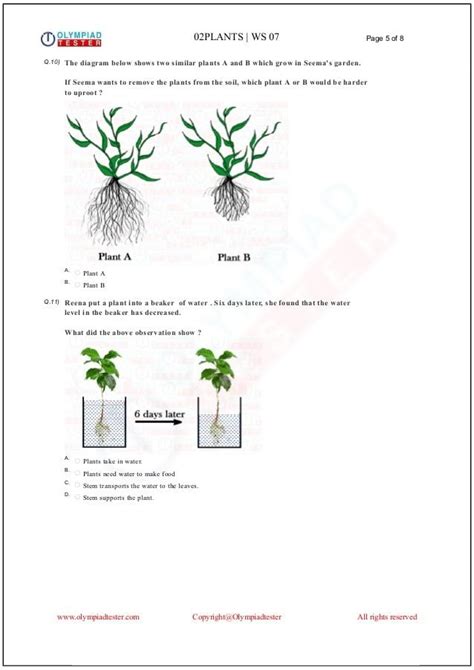 Class 2 Science Olympiad Sample Paper On Plants Set 02 Artofit