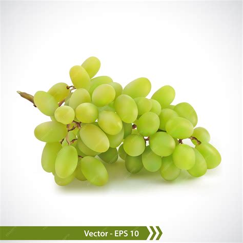 Ilustración Realista De Uvas Verdes Vector Premium