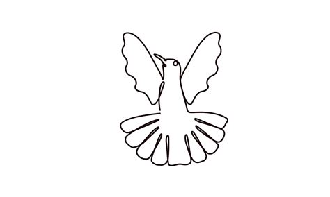 The Bug Continuous Line Art Animation Graphic By Subujayd · Creative