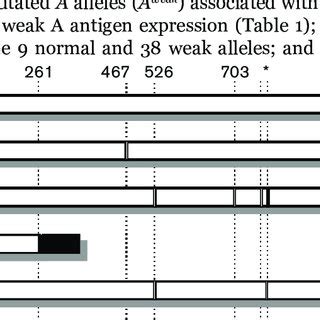 Schematic Representation Of Predicted Open Reading Frames For Some Download Scientific Diagram