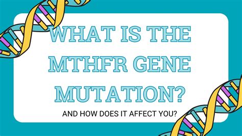 Mthfr Gene Mutation Everything You Need To Know