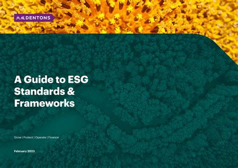 SOLUTION: A guide to esg standards and frameworks - Studypool