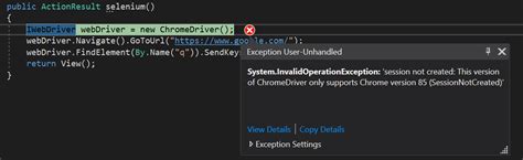 Automated Tests Browser Versioning Problem For Selenium Automation