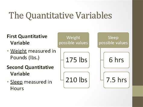 Group Seven Term Project Contributors Amy Calara Benjamin