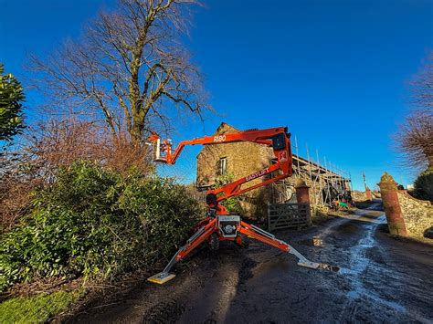 A Complete Guide To Pruning Lime Trees Tilia Arborscape