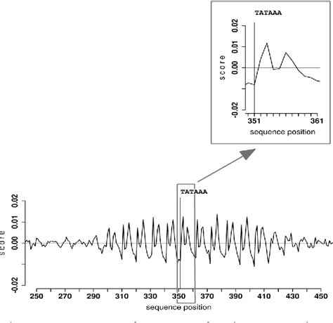Figure 1 From Single Base Resolution Sequence Directed Nucleosome