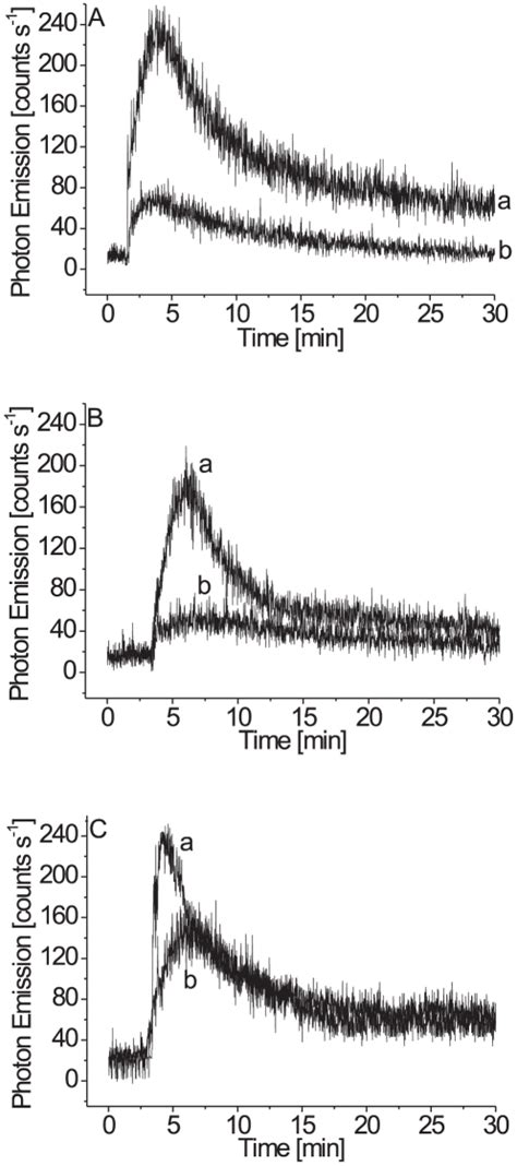 In A Ultra Weak Photon Emission Was Observed In The Absence Trace