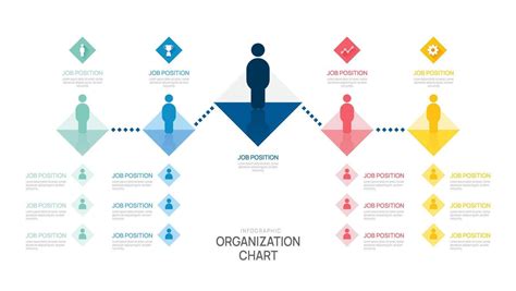 Organization Chart Infographic Template For With Business Avatar Icons Illustration 54663162