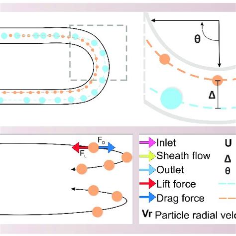 Schematic Diagram Of The Inertial Separation Principle In A Curved Download Scientific Diagram