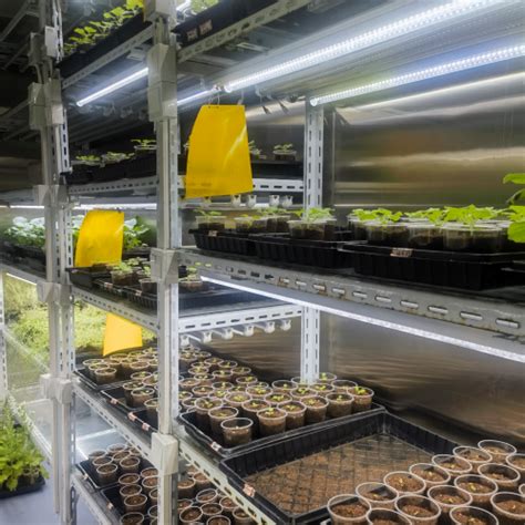 人工气候室 步入式气候室 植物生长室 组培室 养虫室