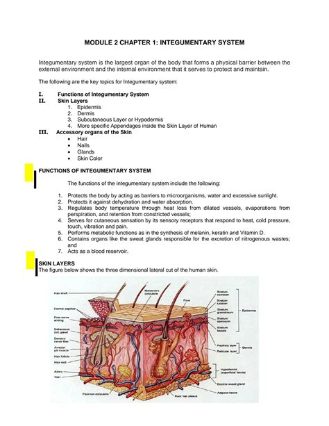 SOLUTION Module 2 Chapter 1 Integumentary System Studypool