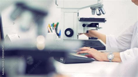 Female Doctor Uses Microscope To Examine A Sample K Stock Video Adobe Stock