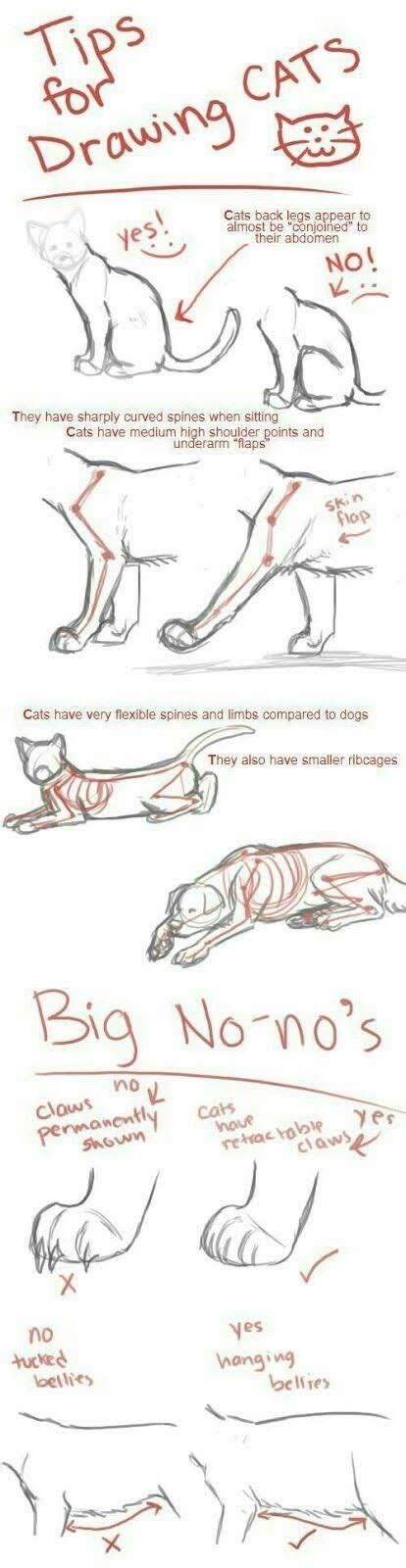 Pin On Desenhos Cat Drawing Drawing Tutorial Cat Drawing Tutorial