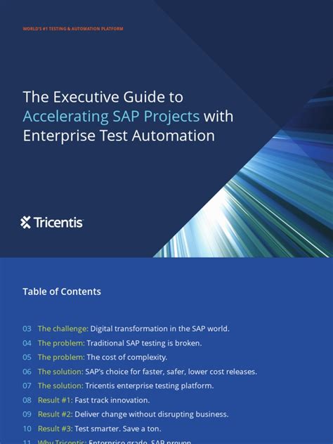 The Executive Guide To With Enterprise Test Automation Accelerating