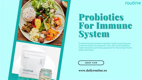 The Role Of Probiotics For The Immune System Routine Probiotics For Women