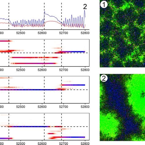 Effect Of Mutations On Evolutionary Transitions A Population Size Of