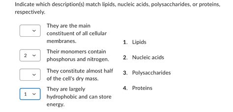Solved Indicate Which Description S ﻿match Lipids Nucleic
