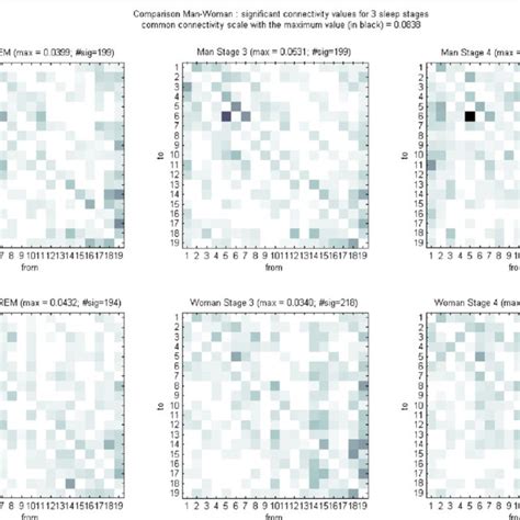 Example Of Connectivity Matrix Obtained With The Toolbox Mvgc Download Scientific Diagram