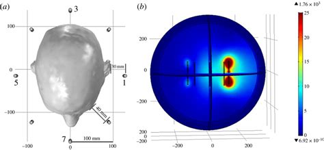 Eight Elements Dipole Antenna Array A Elliptical Array Configuration Download Scientific