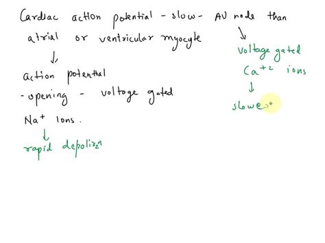 Solved 3 Hyperkalemia Is An Important Cause Of A Wide Qrs Complex Slow Action Potential