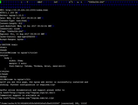 nginx range 过滤器整形溢出漏洞 cve 2017 7529 预警分析 360cert