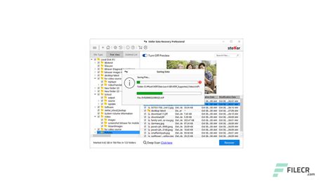 Stellar Data Recovery 12302 Free Download Filecr
