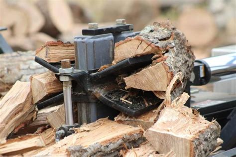 Timber Works Tree Care Trees Virginia