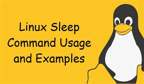 Linux Sleep Command Usage And Examples Osetc Tech
