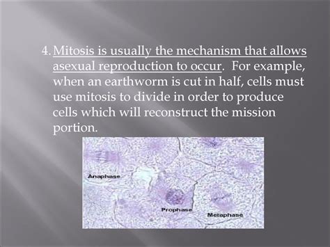 cellular reproduction ppt download