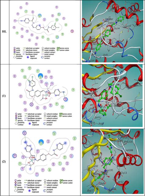 Interaction Diagrams In Two And Three Dimensions Of HL And Its Download Scientific Diagram