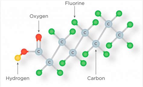 What Are Pfas Forever Chemicals Science For Georgia