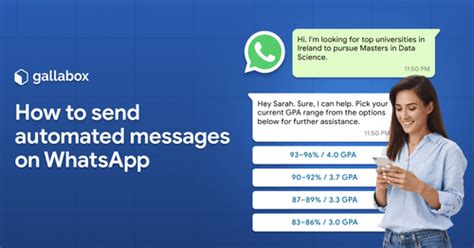 guide to sending automated whatsapp messages