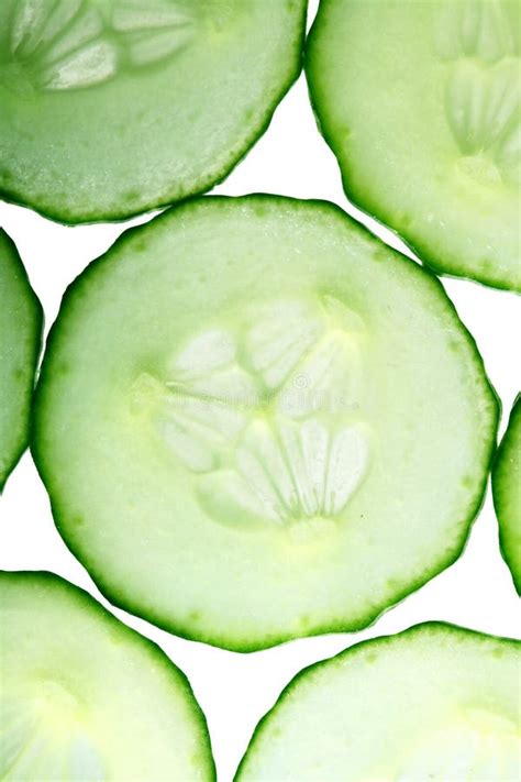 Cucumber Slice Stock Image Image Of Beauty Growth Freshness 8236061