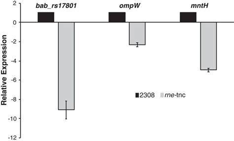 Confirmation Of Gene Dysregulation In The Rne Truncation Strain Rna