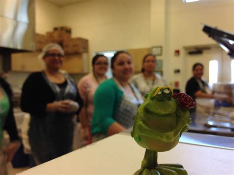 Grati Toad Momentous Institute