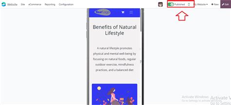 How To Manage Website Themes In Odoo