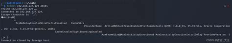 activemq 信息泄漏漏洞 cve 2017 15709 csdn博客