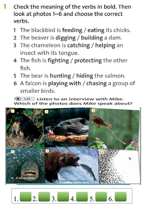 Animal Behavior Questions at Paige Cremean blog